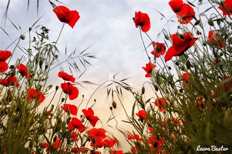 Florentina Punga Cmiosh On Linkedin Thank You For Your Service