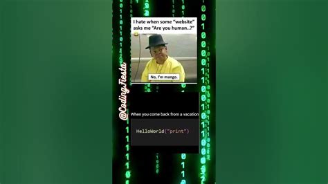 Funny Coding Memes Code Javascript Funny Funnyvideo Short Youtube
