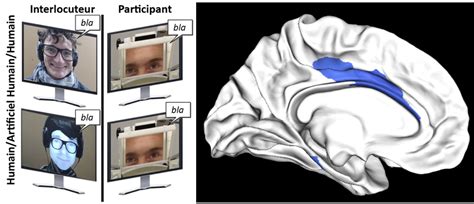 Linguistic Et Neuro Physiological Comparison Of Human Human And Human Robot Conversations Ilcb