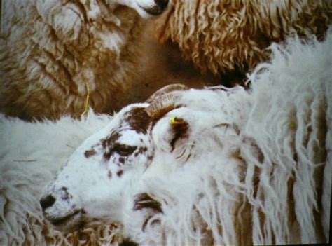 My First Exhibition Review With The Dundee University Review Of The