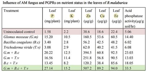 Effects Of Glomus Mosseae Bacillus Coagulans Trichoderma Viride On The Growth Of Begonia