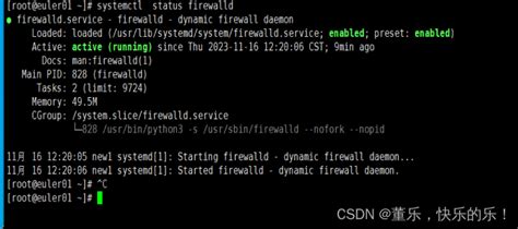 你好，openeuler （五、网络管理和防火墙） openeuler 防火墙 csdn博客
