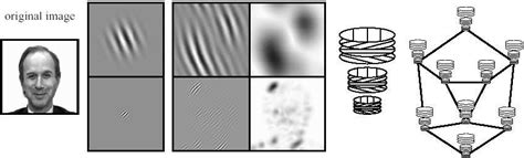 3 The Bunch Graph Representation Of Faces Used In Elastic Graph Download Scientific Diagram