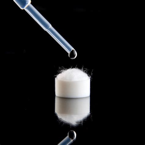 Bitsy Dish Tiny Feeding Bowl For Spiderling Enclosure