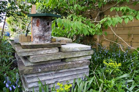 NestBoxTech Wi Fi Small Bird Birch Log Nest Box