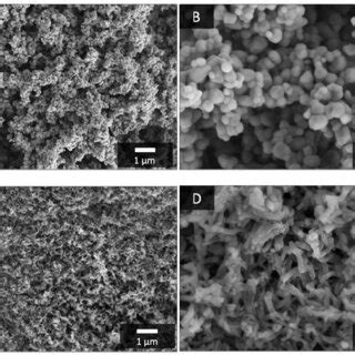 SEM Images Of A B TiO 2 Nanoparticles With Diameters Ranging From 50 Download Scientific