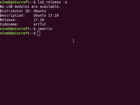linux unix 桌面盛典：模仿 “黑客帝国” 界面！ linuxstory