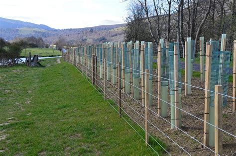 Surface Water Flooding All You Need To Know The Flood Hub