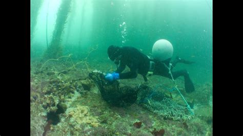 Sea Urchin Uni Processing Youtube