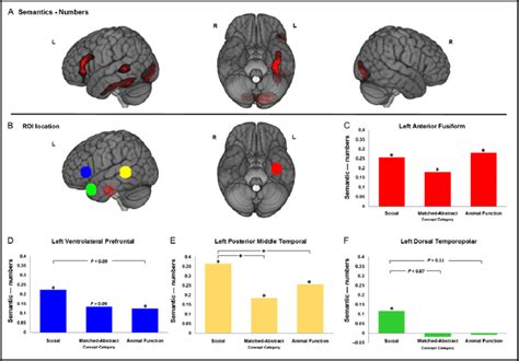 Cortical Regions Activated By The Semantic Judgment Conditions Relative Download Scientific