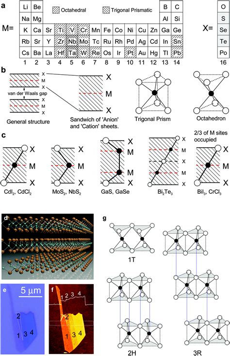charge transport and mobility engineering in two dimensional transition