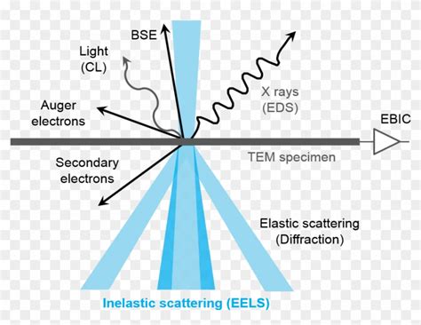 tem specimen beam interactions electron matter interaction tem hd