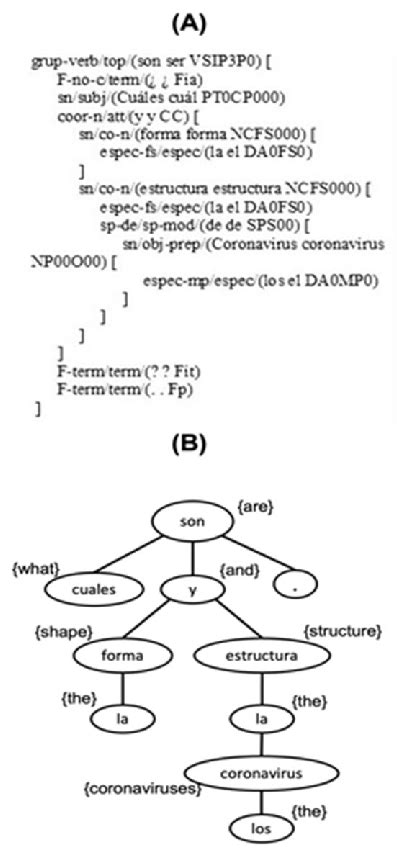 Dependency Tree Of The Question What Is The Shape And Structure Of
