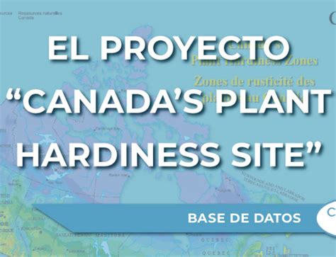 Cómo instalar Node js y NPM en Windows macOS y Linux