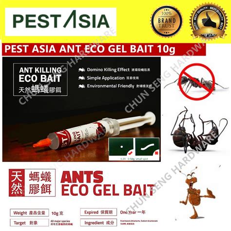 Pest Asia Ant Killing Ant Eco Gel Bait 10g 30g For Household Restaurant