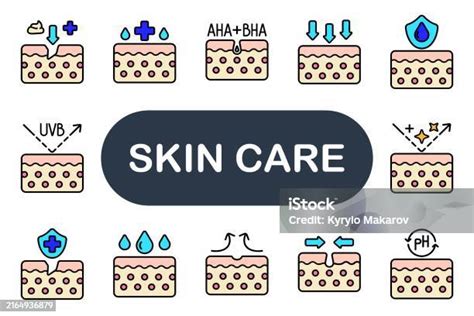 스킨 케어 세트 아이콘입니다 보습 보호 각질 제거 Uv 수분 공급 Aha Bha 장벽 Ph 노화 방지 수리 진정 클렌징 여드름 윤기 트리트먼트 스킨케어 미용 불타는 듯한에
