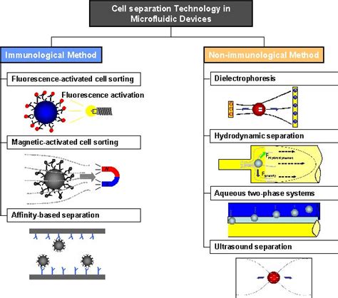 Schematics Of Microfluidic Cell Separation Techniques Download Scientific Diagram