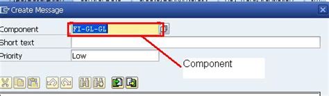 Solved How To Find Out Correct Component While Raising O SAP Community