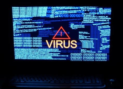 The Worst Computer Viruses In History Infographic