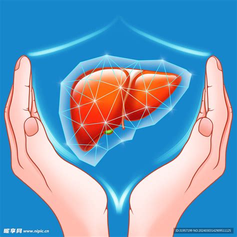 保护肝卡通素材设计图广告设计广告设计设计图库昵图网