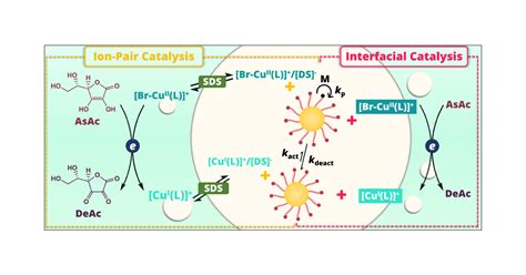 Miniemulsion Si Atrp By Interfacial And Ion Pair Catalysis For The