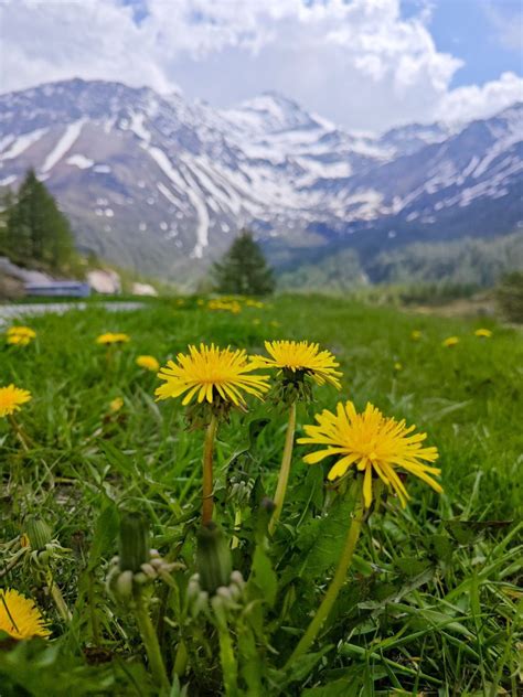 The Iconic Alpine Drive At Simplon Pass Together In Switzerland