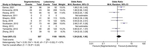 Minimally Invasive Anatomical Segmentectomy Versus Lobectomy In Stage Ia Non Small Cell Lung