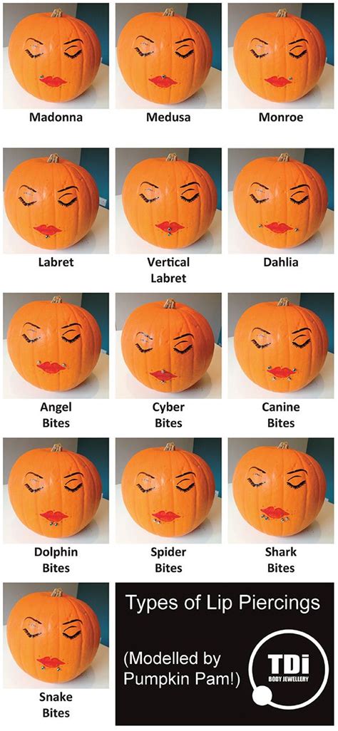 Guide To Lip Piercing Types TDi Body Jewellery Blog Lip Piercing Types Of Piercings Piercings