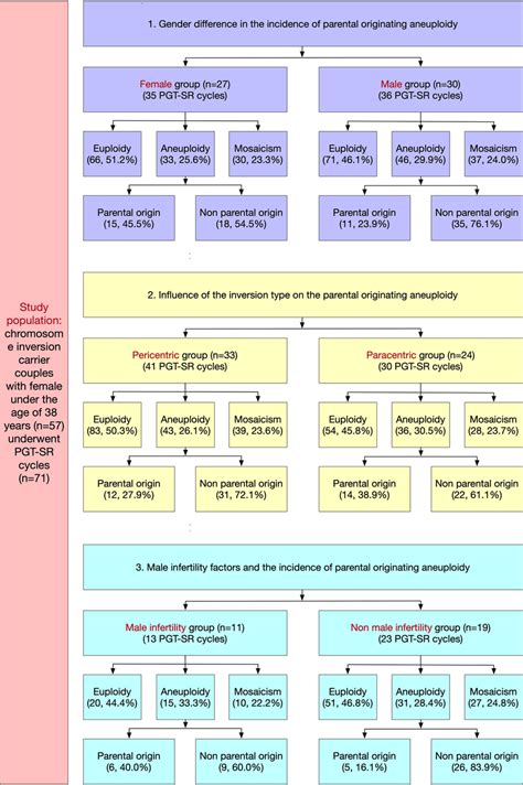 Study Design PGT SR Preimplantation Genetic Testing For Chromosomal Download Scientific