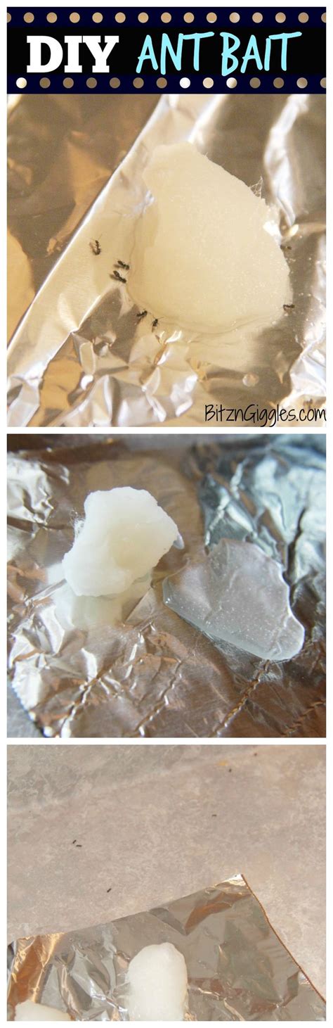 Diy Ant Bait Ants Diy Bait
