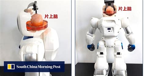 chinese scientists create robot with brain made from human stem cells south china morning post