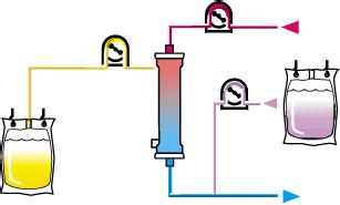 Renal Fellow Network CVVH Basics