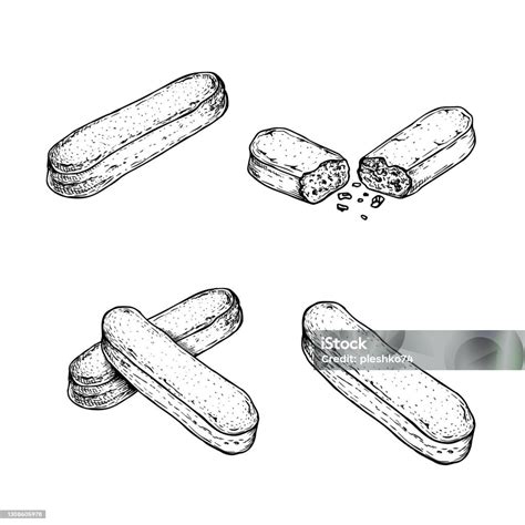 스케치 스타일의 세트사보이아르디 비스킷 손으로 그린 이탈리아 디저트 티라미수 성분 컬렉션 전통적인 이탈리아 과자 벡터 그림입니다 아가씨 손가락 케이크에 대한 스톡 벡터 아트