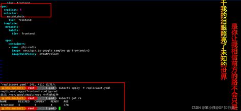 K8s 控制器：replicaset 和 Deploymentdeployment Replicaset Csdn博客