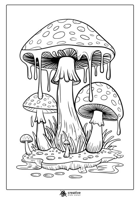 Mushroom Coloring Pages 20 Free Printable Pdfs