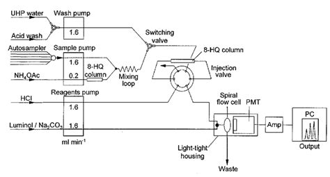 Fi Cl Manifold Used For The Determination Of Fe Ii Iii In Estuarine Download Scientific