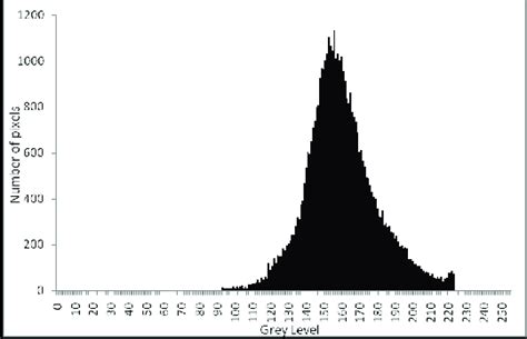 Histogram Of The Pixel Grayscale Values Of The Corpus Callosum