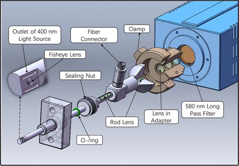 Endoscopic Imaging Approach At Robert Leverett Blog