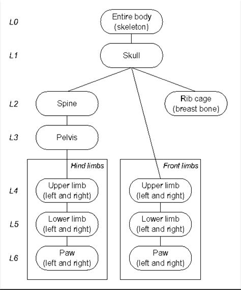 Skeletal Animation Semantic Scholar