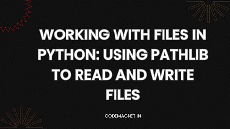 Data Visualization In Excel Using Python - Automation - CodeMagnet