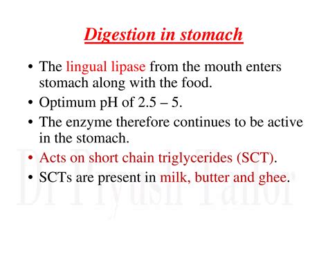 Lipid Digestion Absorption Pdf