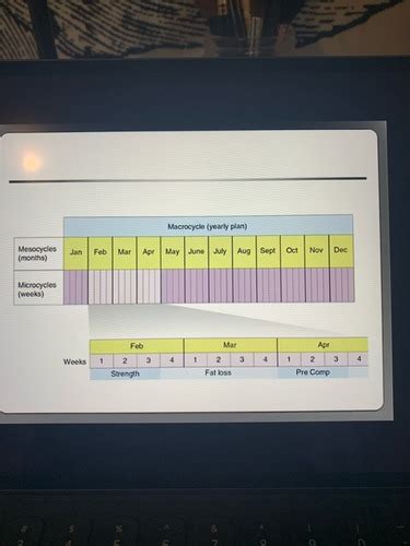 Exam 1 Prep Flashcards Quizlet