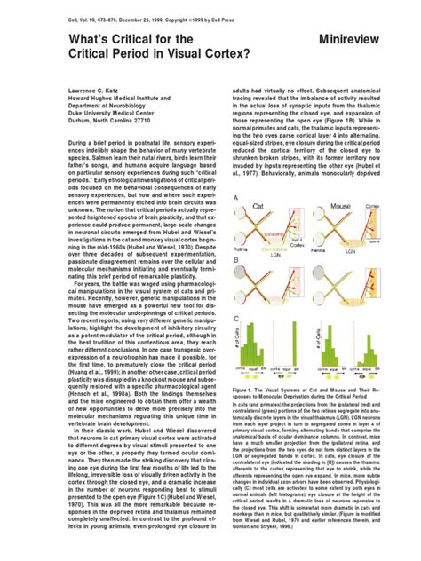 Whats Critical For The Critical Period In Visual Pdf Long Term Potentiation Synaptic