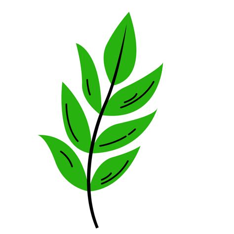Fresh Single Green Leaf Leaf Of Spring Season Card Leaf Decoration