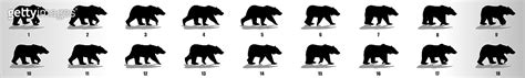 Bear Walk Cycle Animation Frames Loop Animation Sequence Sprite Sheet