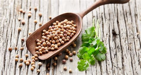 Propiedades Y Beneficios Del Cilantro Germinarte