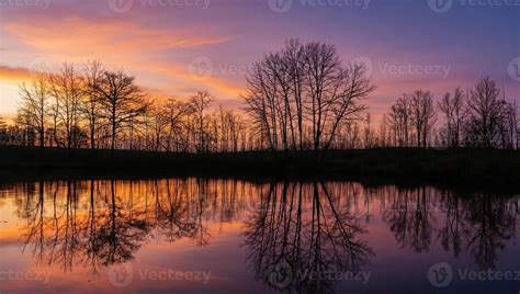 Reflections Of Dusk Bare Trees And Twilight Hues A Symphony Of Colors