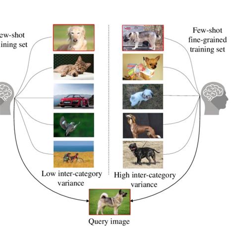 comparison of few shot image classification and few shot fine grained