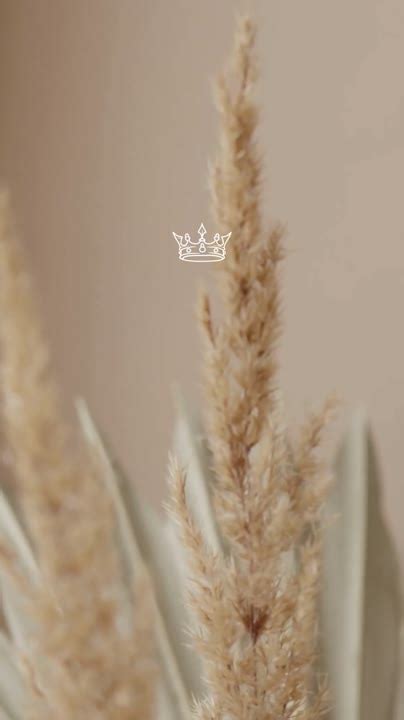 Royal Daimond Llc On Linkedin The Wait Is Almost Over