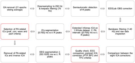 Schematic Illustration Of The Eeg Data Processing Download